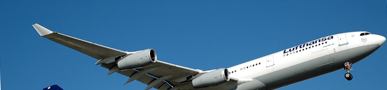 Crippling of stiffeners - TU Delft OCW