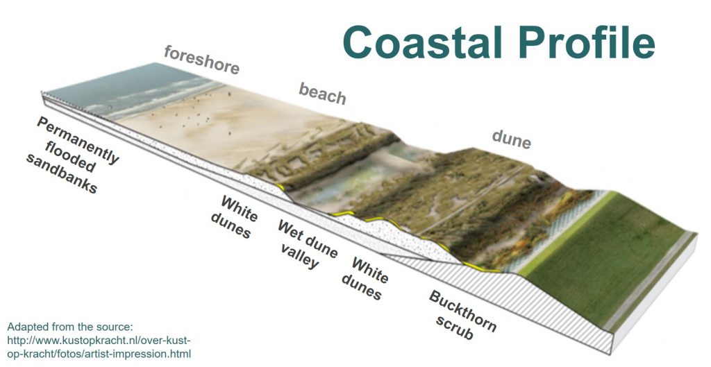 5.2.5 Case 4: Coastal Protection - TU Delft OCW