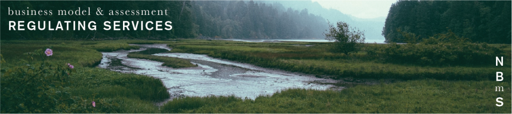 4.3.3 Regulating services - TU Delft OCW