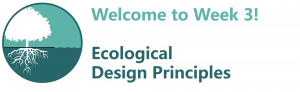 3.1.1 Introduction to Ecological Design Principles - TU Delft OCW